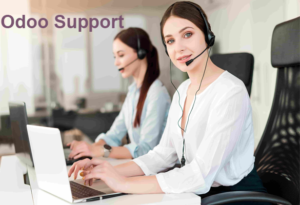Odoo Support - 25 Hours Plan | Integrated Data Technology, Inc.